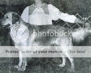 Pedigree of HRCH Kc's High Times Roll'n Gold CDX MH WCX *** OS - K9Data