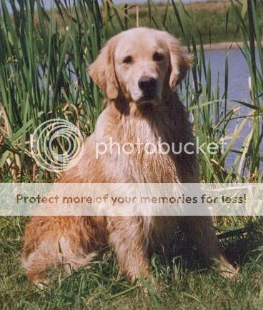Pedigree of Farm Fresh A La Carte - K9Data