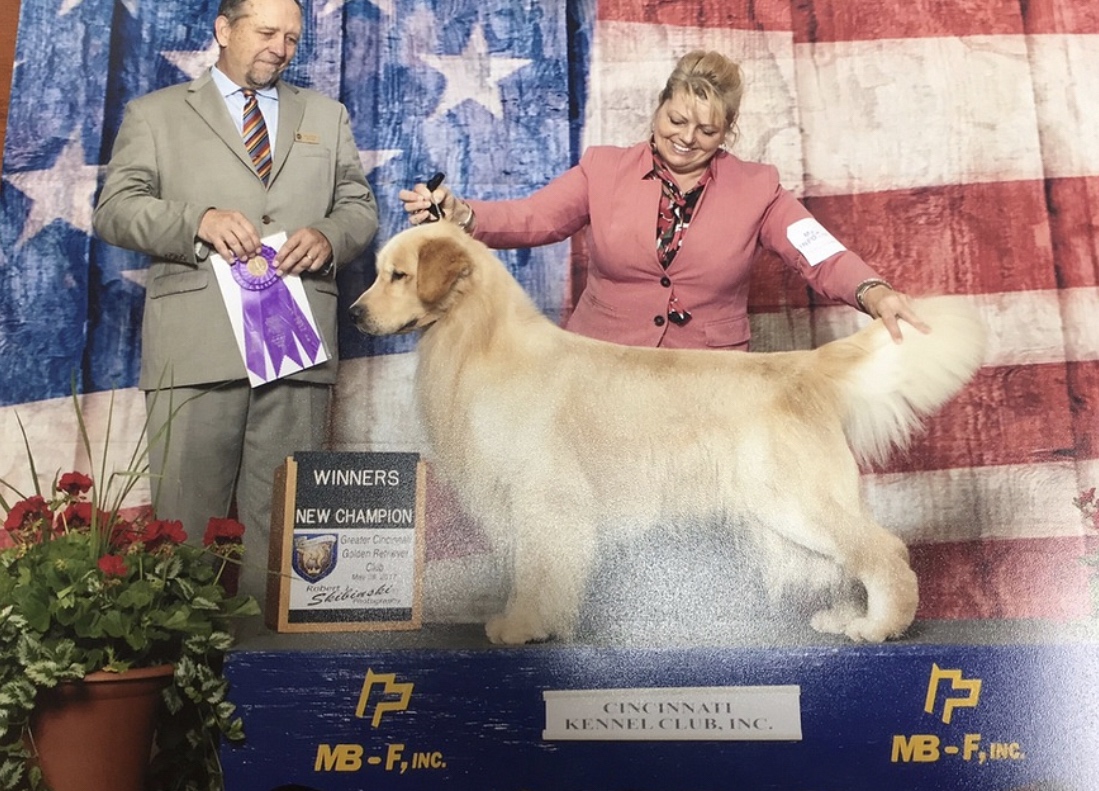 Pedigree of Shadalne's Secret Whisper - K9Data