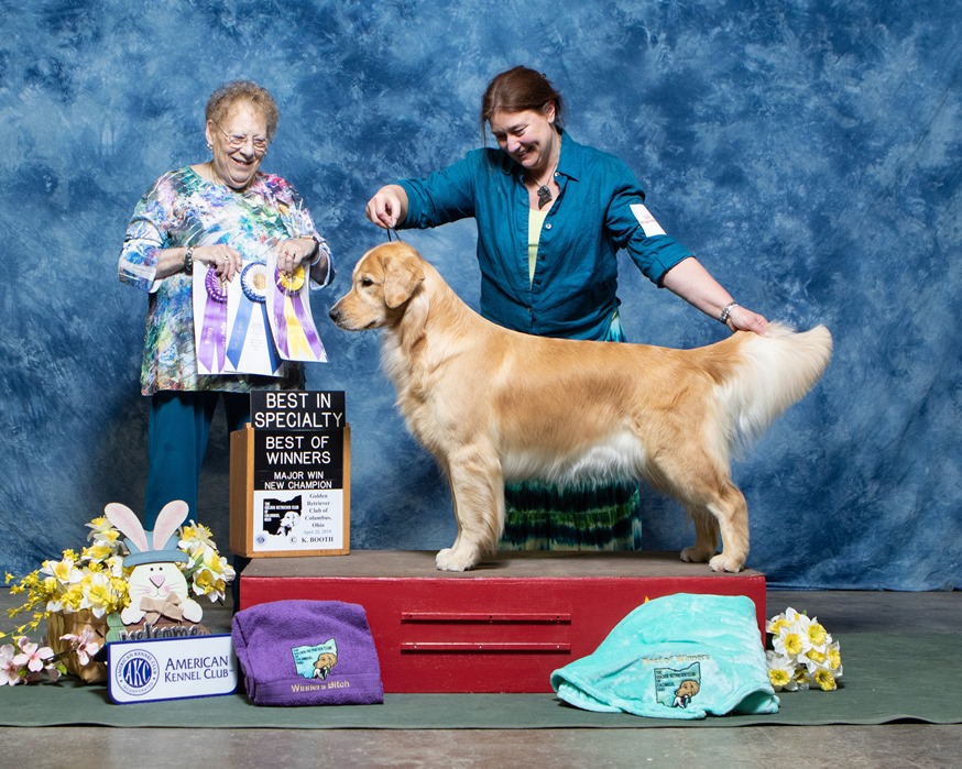 Pedigree of BISS GCHS CH Timberbash's Cork Country Bubbles BISS - K9Data