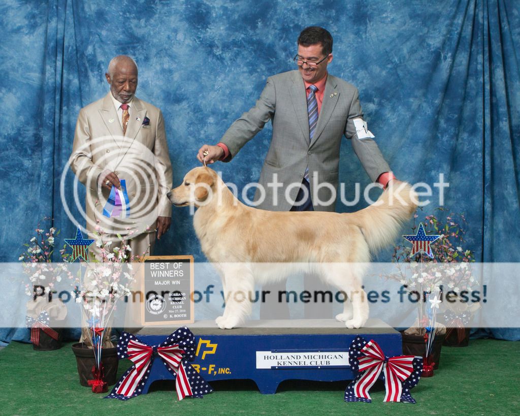 Pedigree of Can Ch Thornapple's Fire Down Below - K9Data