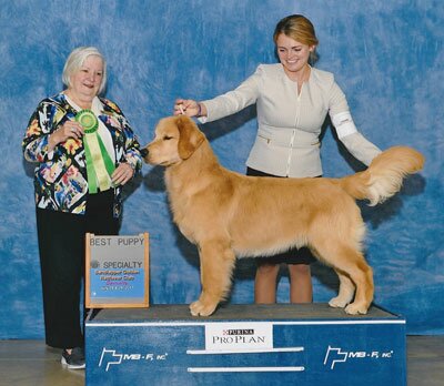 Pedigree of Pendery's Silverado Special Edition BPSS - K9Data